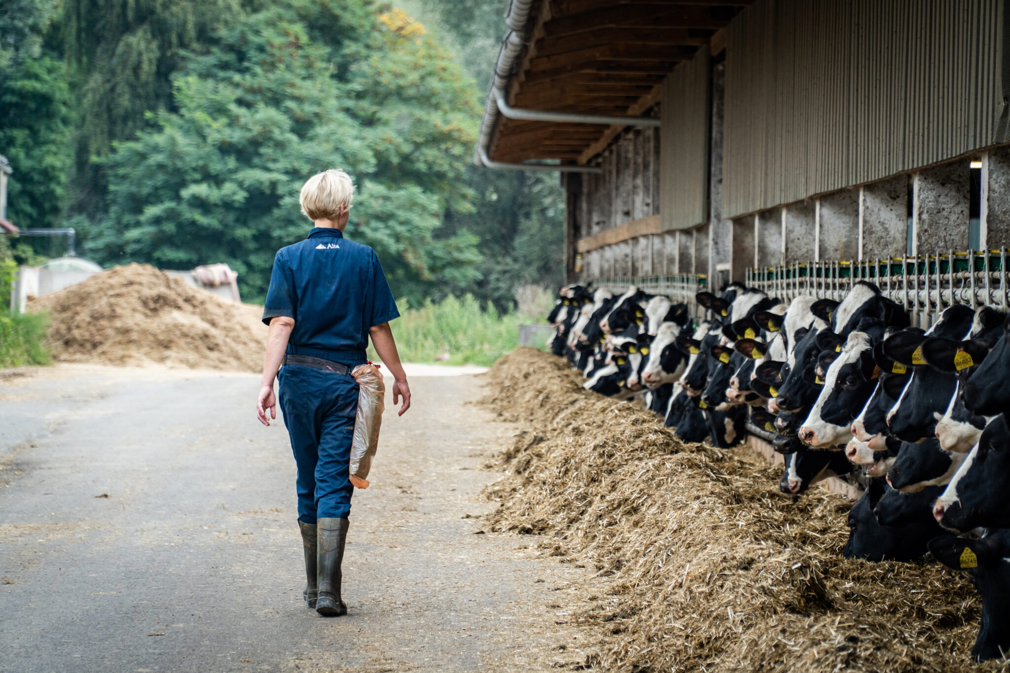 Genetische Programme - Alta Genetics